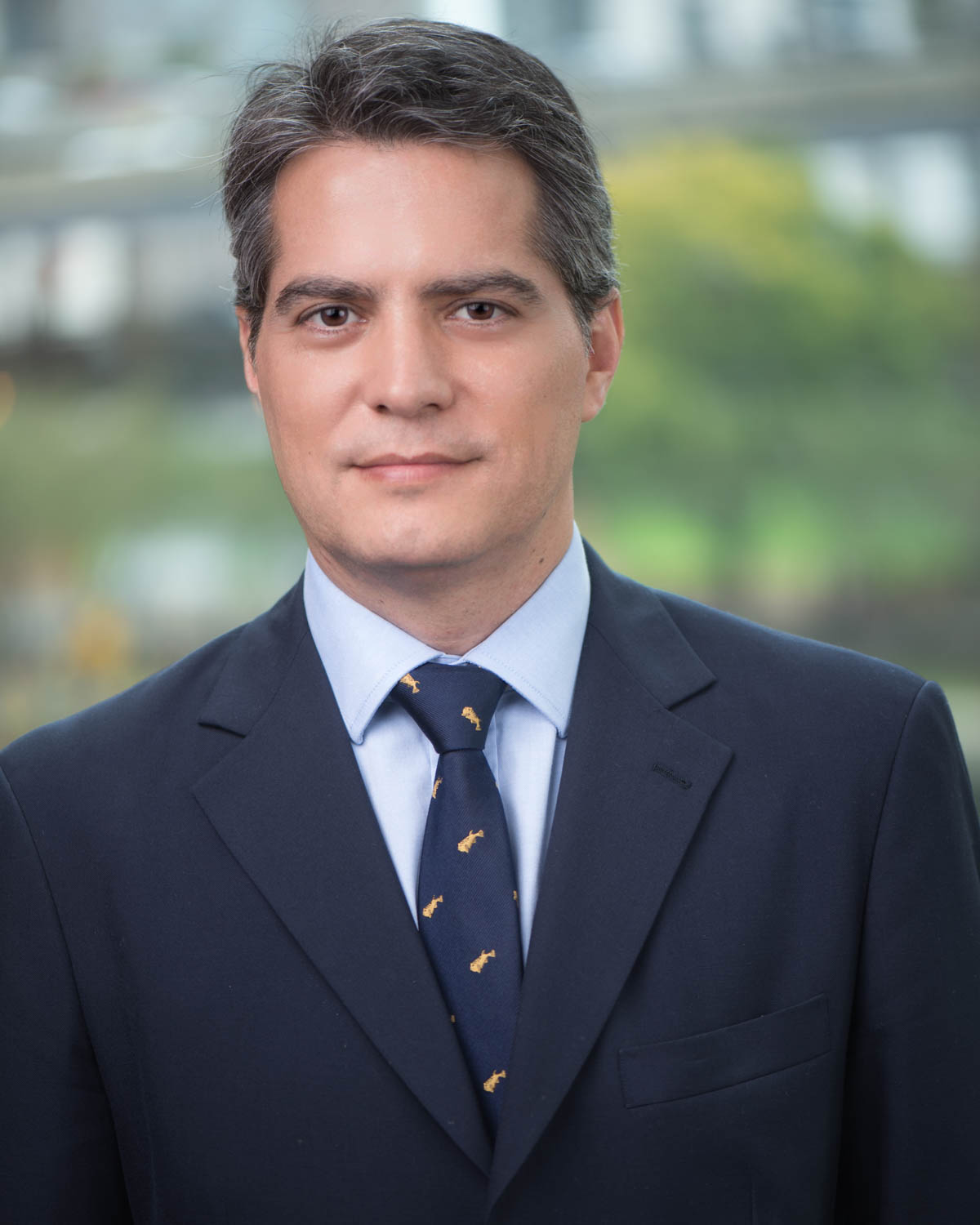 Roberto Grané – Contratos Civiles y Comerciales Zentner-Grane